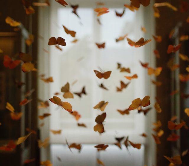 Transformation and Beauty: Poems about the wonder of Butterflies • 1 ...