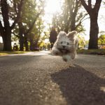 Cancer Poems - Words of Hope, Strength, and Courage • 1 Love Poems