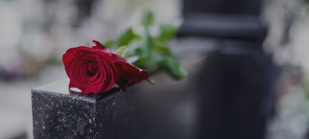 A Single Rose | Heartfelt Love Poem About The Beauty Of Love