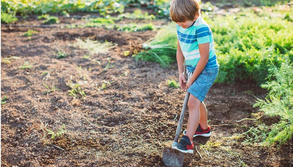 Digging Poems | Metaphorical & Actual Digging Poetry